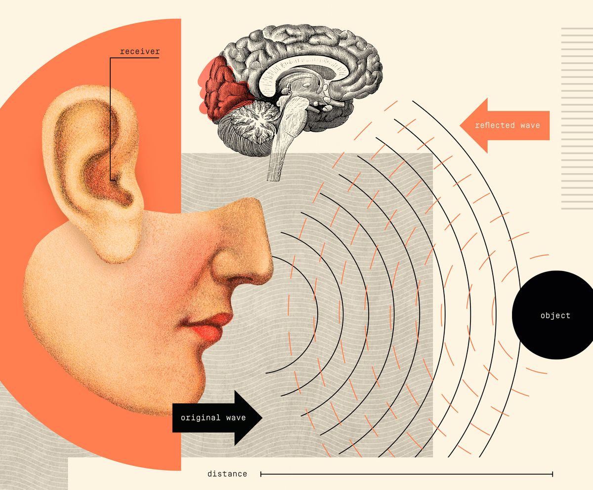Mechanics of Autism – Identifying the Neural Mechanics of Autism